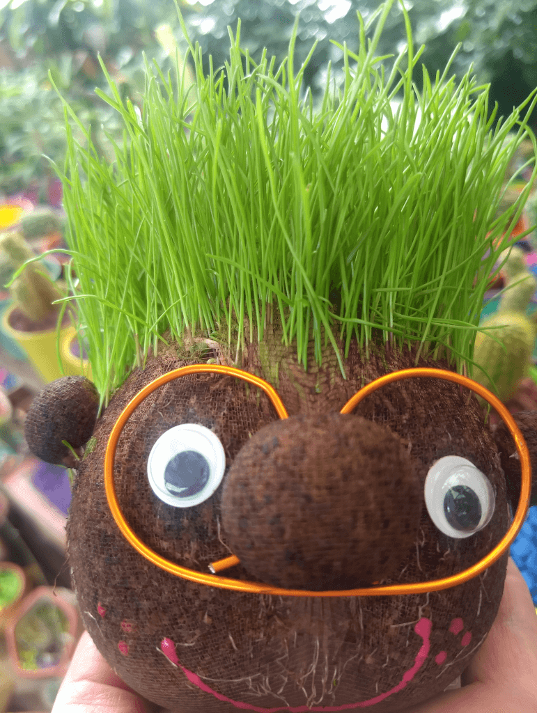 Loco lopez – Los Tulipanes