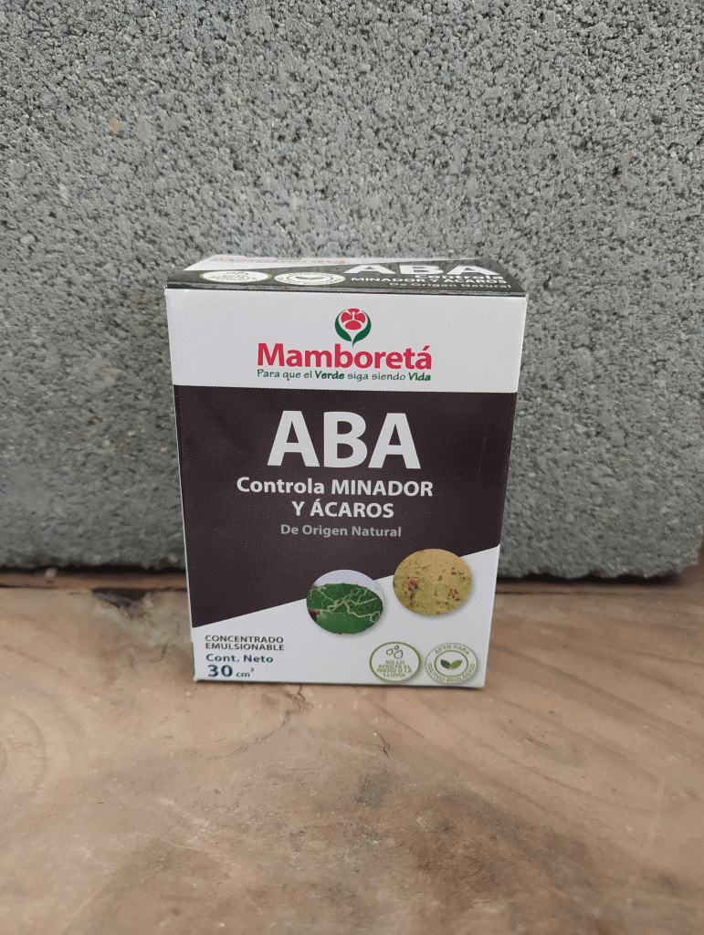 Mamboreta ABA x30cc – Los Tulipanes